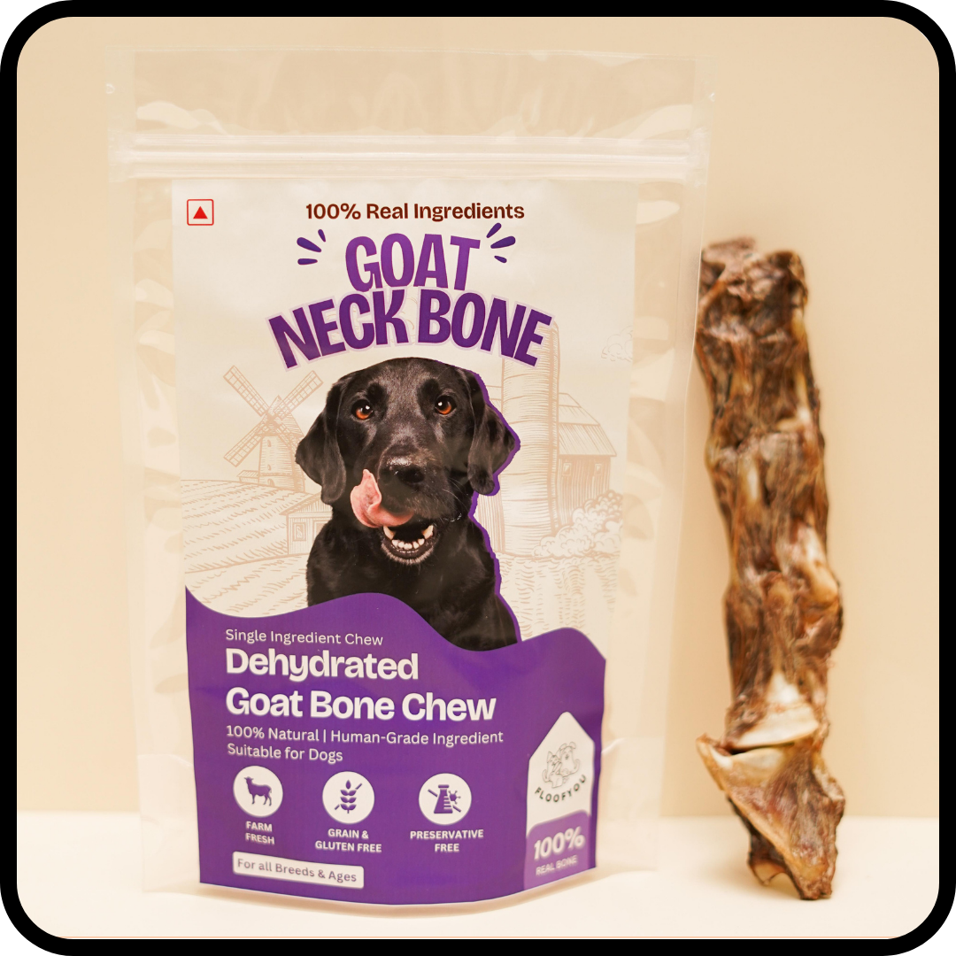 Chew Bones – FloofYou