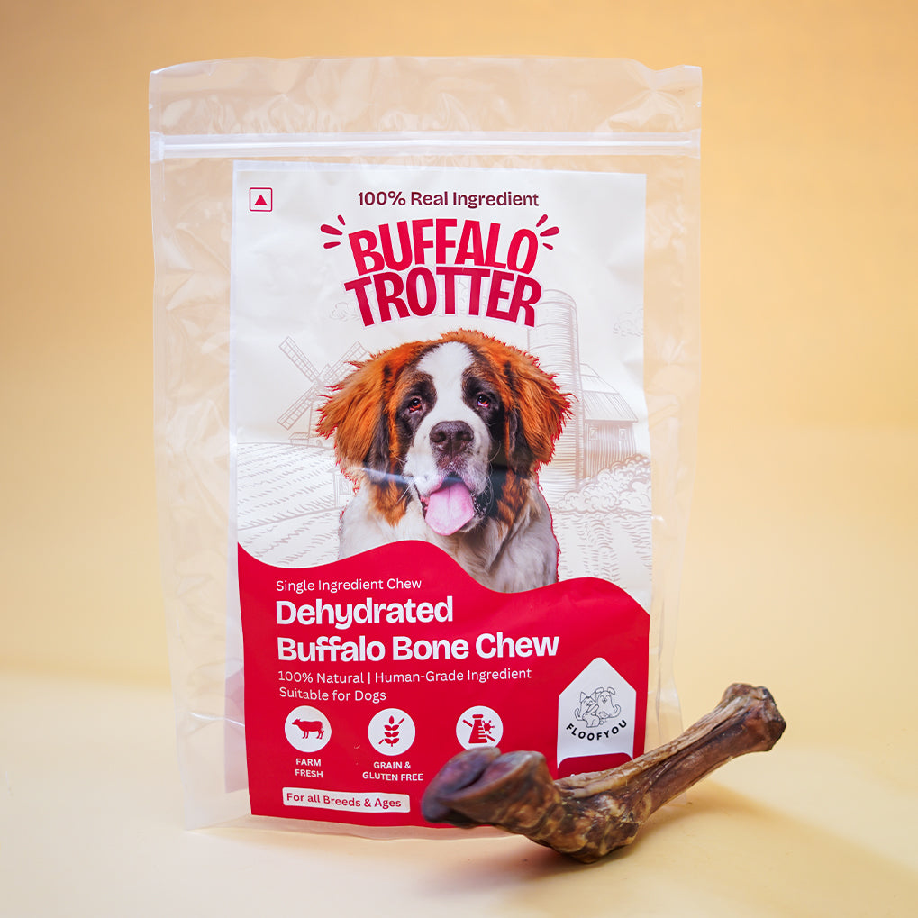 Buffalo Trotter Bone Chew Dehydrated Natural Healthy Dog Treat – FloofYou