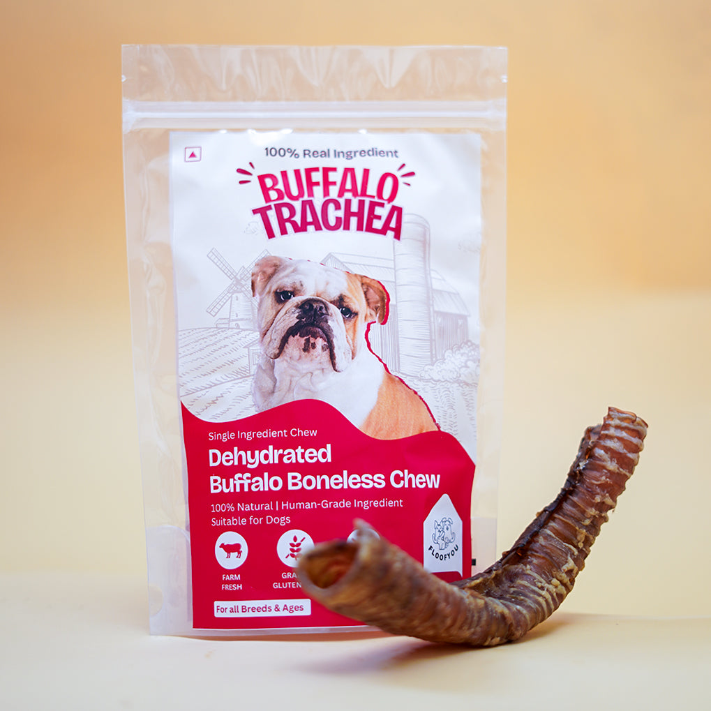 Buffalo Trachea Boneless Chew Dehydrated Natural Healthy Dog Treat ...