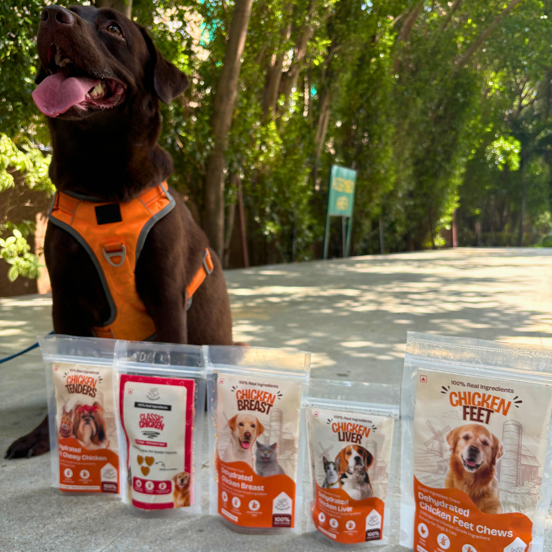 Chicken flavoured Jerkies + Chew + Baked Cookies : COMBO – FloofYou