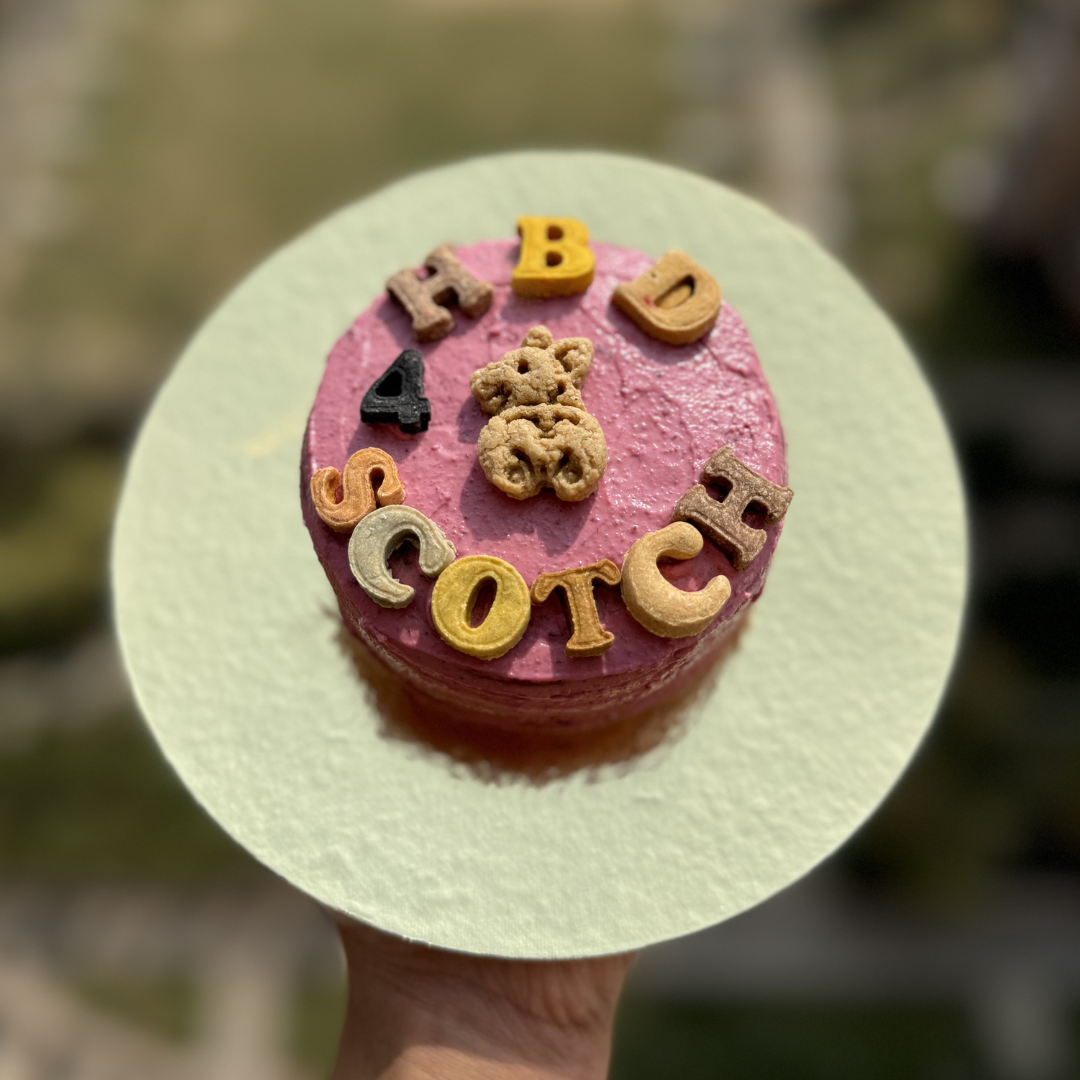 Classic Bento Cake for Dogs (300g) – FloofYou