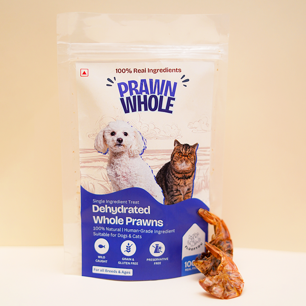 Prawns Whole Jerky Dehydrated Natural Healthy Dog Treat – FloofYou